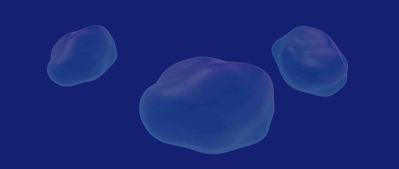 Payson Checkout | Svea Bank